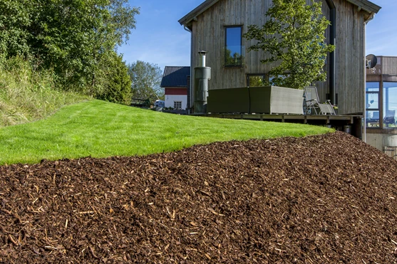 Slik legger du sedum på tak - råd og tips